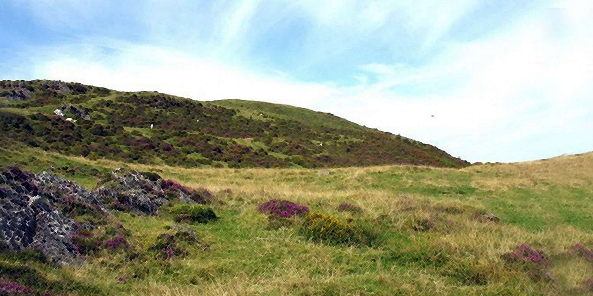 Today's Heating Oil Prices in Redding Ridge, CT